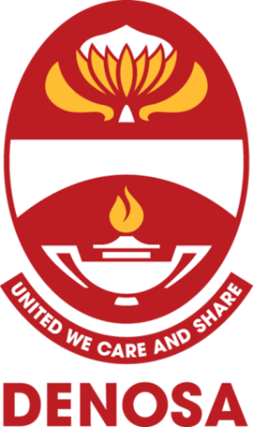 Democratic Nursing Organization of South Africa (DENOSA) | ICN ...